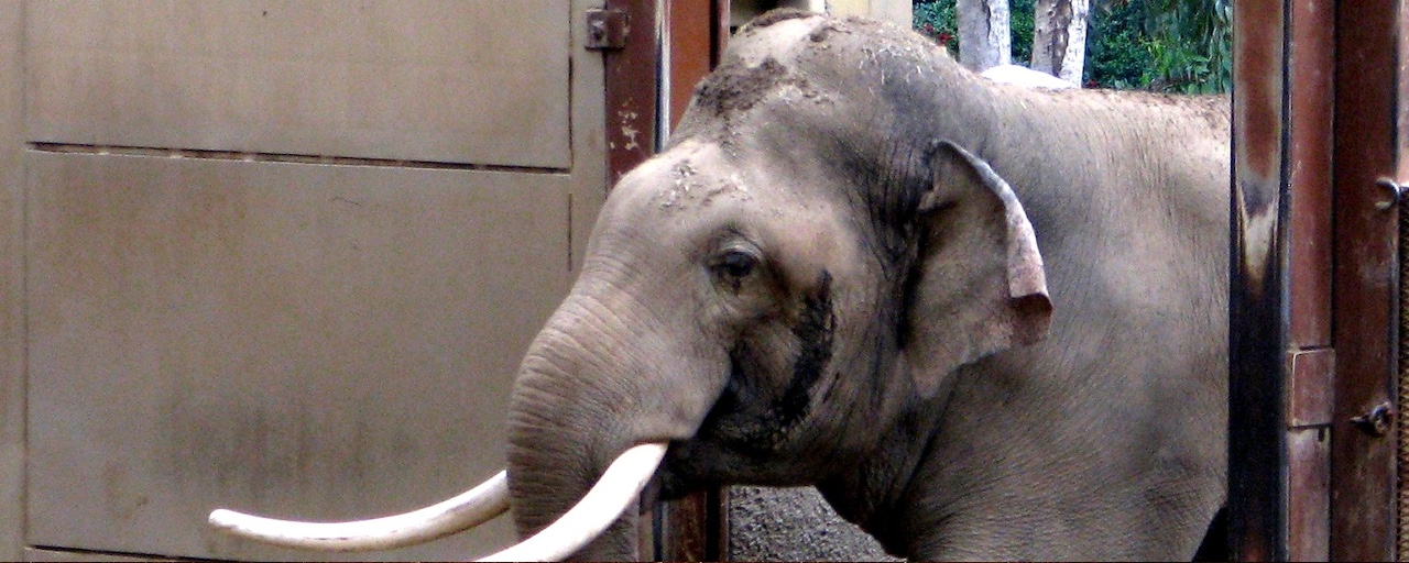 CNPG Recipe 12 - Exposing Postgres outside Kubernetes with Service ...