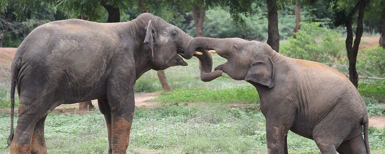 Cnpg Recipe 13 Configuring Postgresql Synchronous Replication · Unleashing The Power Of